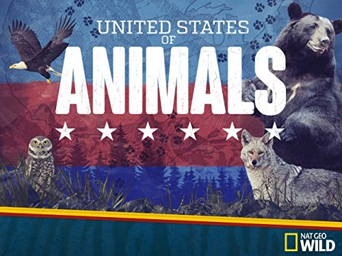 United States of Animals | Serien Wiki | Fandom