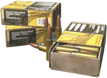 Assault Rifle Bullets | Serious Sam Wiki | Fandom