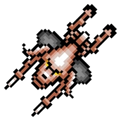 Kleer Skeleton | Serious Sam Wiki | Fandom