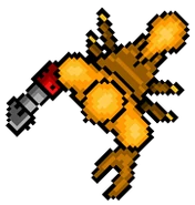 Arachnoid | Serious Sam Wiki | Fandom