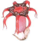 WEHHHH | Noisy Tenant Wiki | Fandom