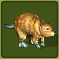 Category:Rodents | Seri!Pixel Biologist! Wiki | Fandom
