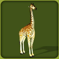 Reticulated Giraffe | Seri!Pixel Biologist! Wiki | Fandom