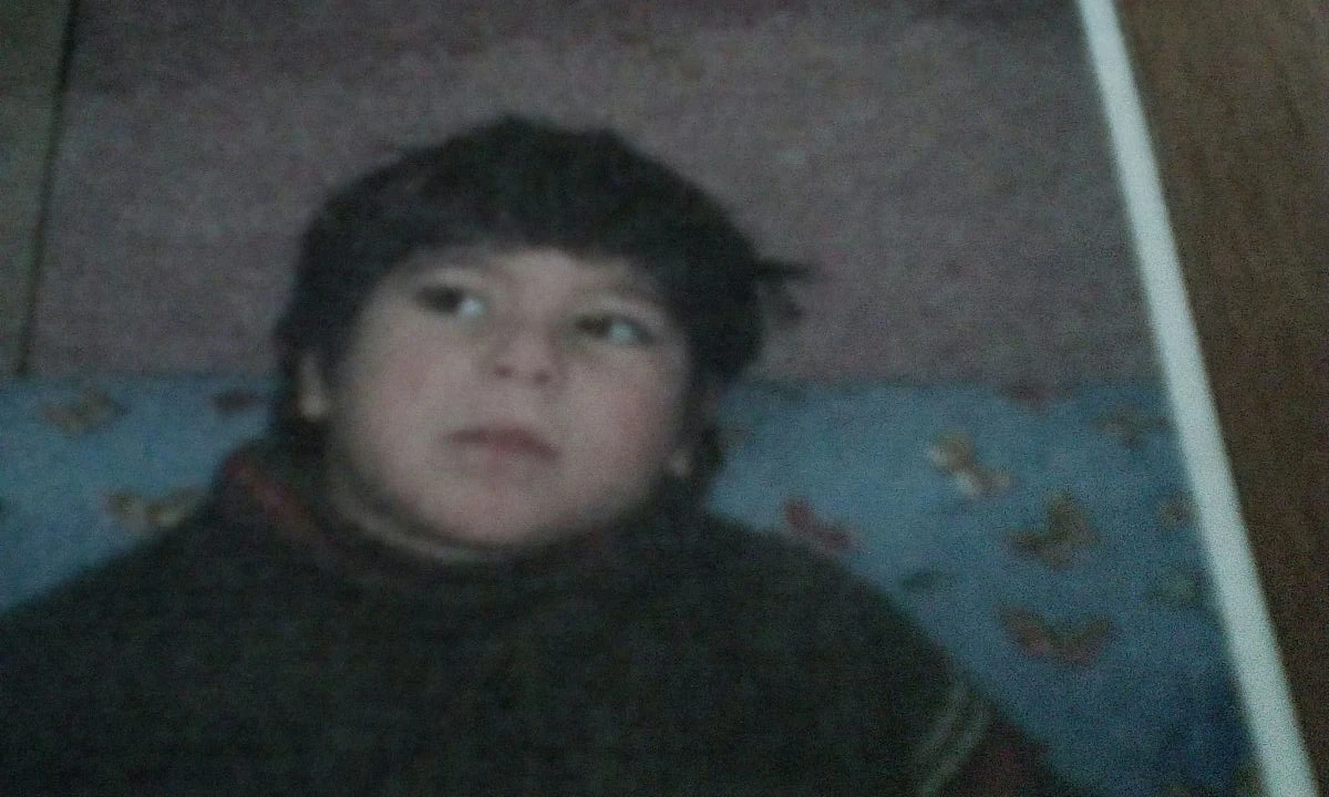 Zoop | SesameSeeds Wiki | Fandom