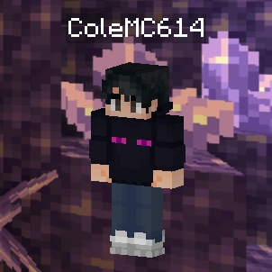 David | Setliad SMP Wiki | Fandom