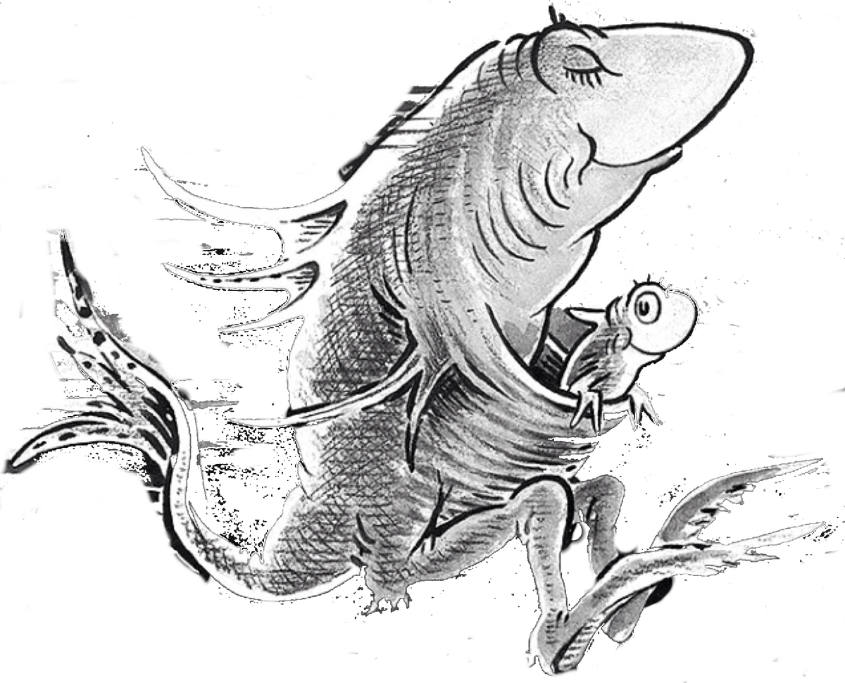 Australian Fish | Dr. Seuss Wiki | Fandom