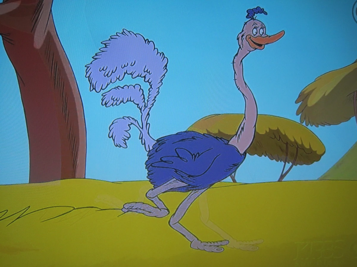 Ostrich | Dr. Seuss Wiki | Fandom