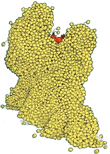 Jedd | Dr. Seuss Wiki | Fandom