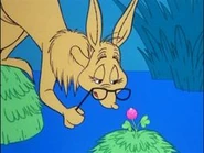 Jane Kangaroo | Dr. Seuss Wiki | Fandom