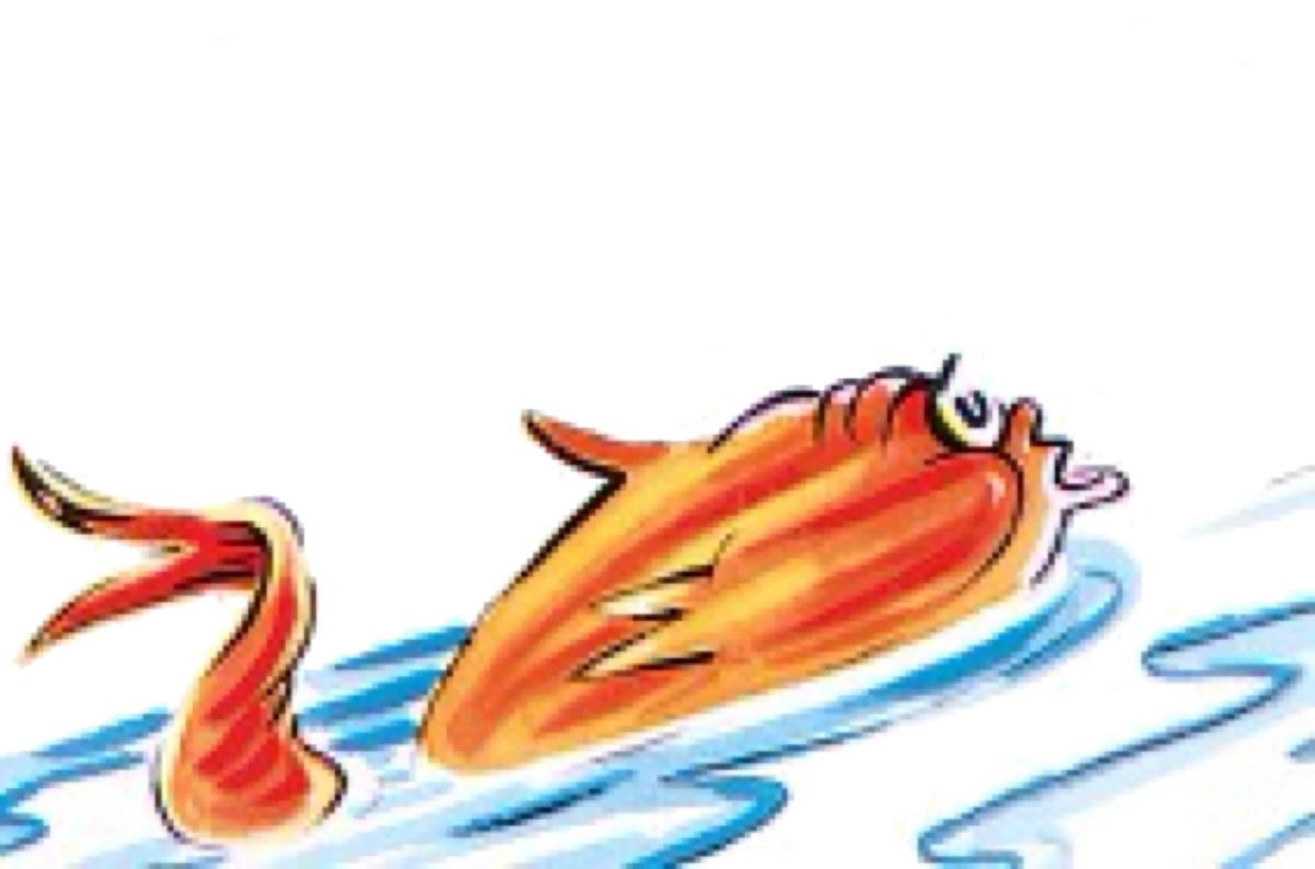 Sunburned Fish | Dr. Seuss Wiki | Fandom