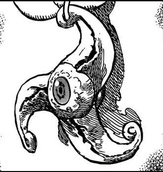Œil Magique de Balor | Wiki Seven Deadly Sins | Fandom