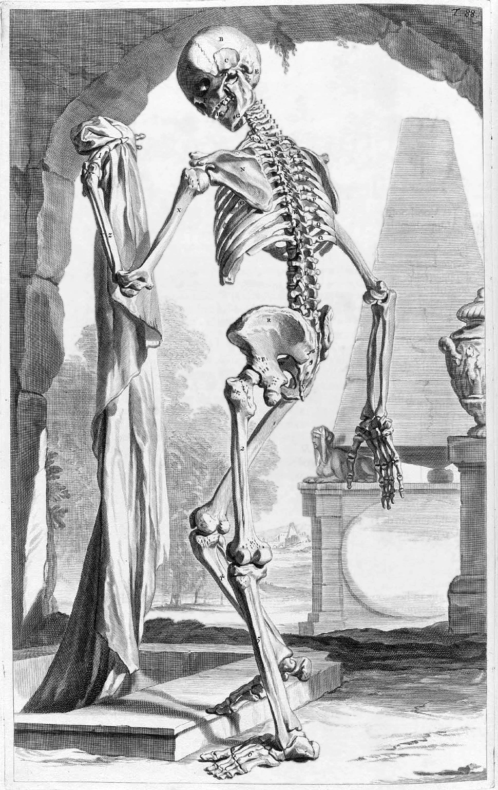 Grey Society | Seven Shields Wiki | Fandom