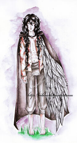 Finbar | Sevenwaters Wiki | Fandom