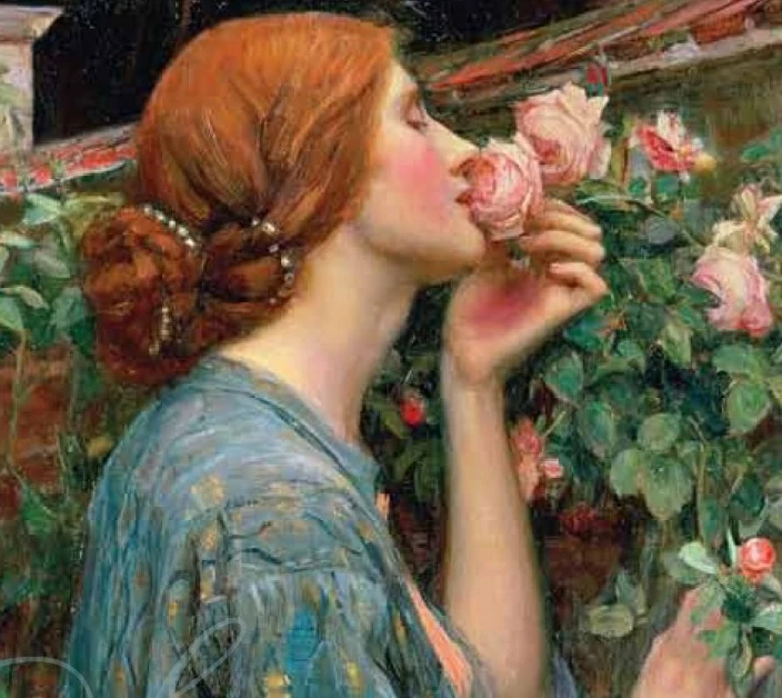 Maeve | Sevenwaters Wiki | Fandom