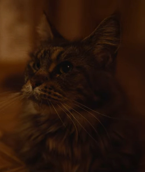 Jonathan | Sex Education Wiki | Fandom