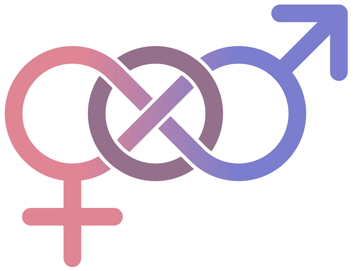 The Split Attraction Model Sexuality Wiki Fandom