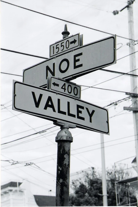 Noe Valley | San Francisco Wiki | Fandom