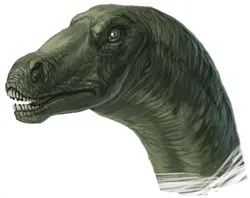 Diplodok | Sferopedia | Fandom