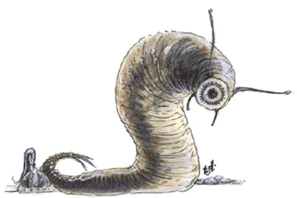 Pijawka | Sferopedia | Fandom