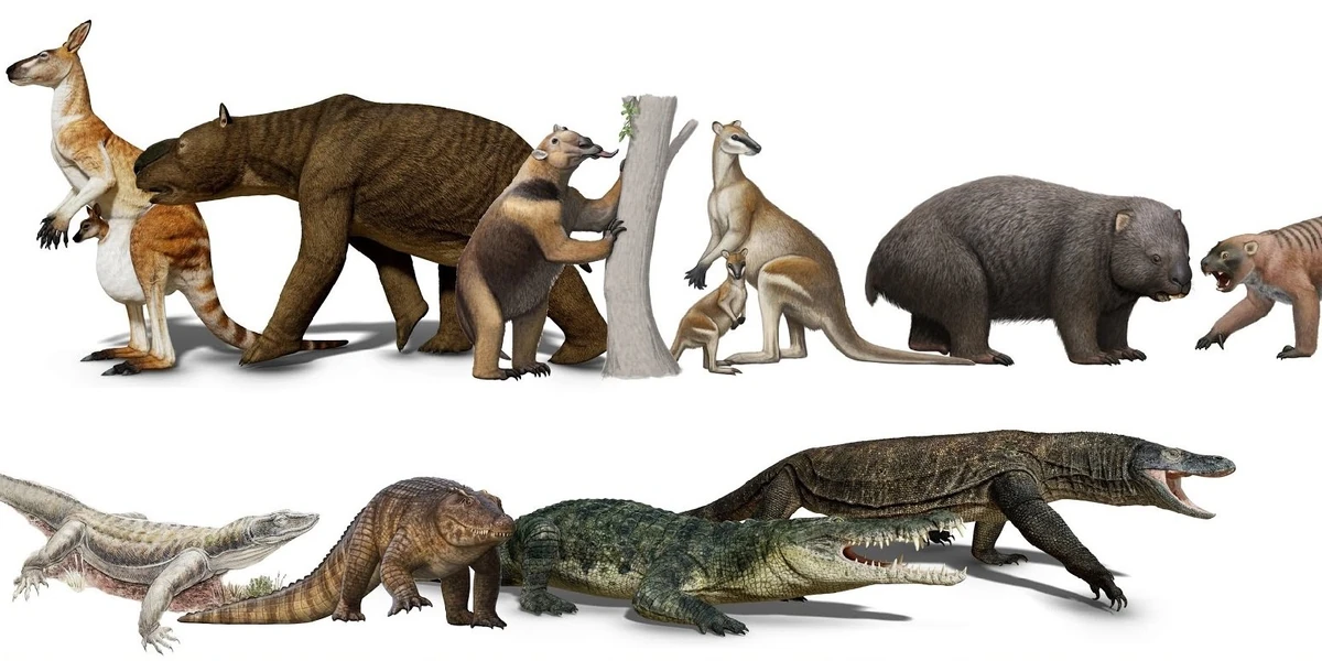 Blog użytkownika:Merlin wszech/Megafauna i żywe skamieniałości ...