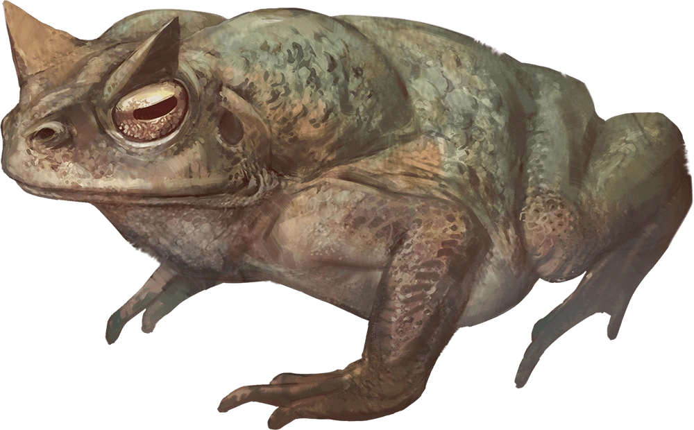 Ogromna ropucha | Sferopedia | Fandom