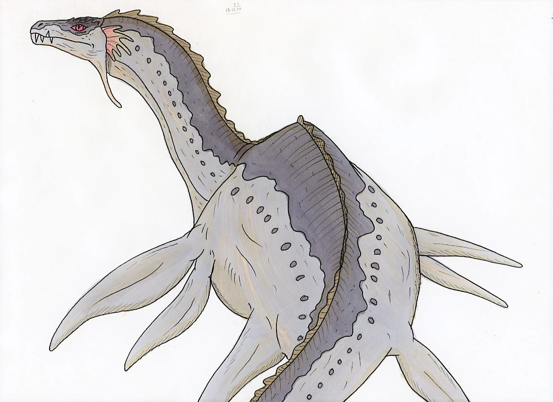 Cetus | Sferopedia | Fandom