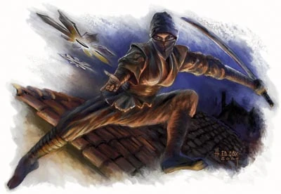 Ninja | Sferopedia | Fandom