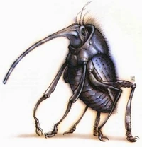 Kokrachon | Sferopedia | Fandom