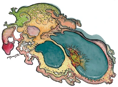 Fasma | Sferopedia | Fandom