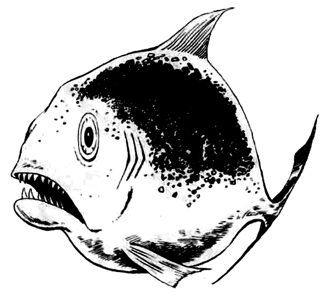 Pirania | Sferopedia | Fandom