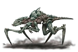 Kruthik | Sferopedia | Fandom