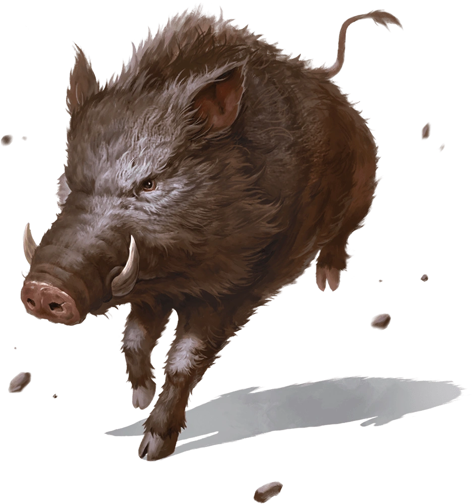 Dzik | Sferopedia | Fandom