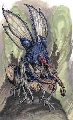 Kokrachon | Sferopedia | Fandom