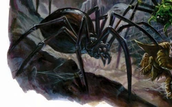 Pająk twórca wdów | Sferopedia | Fandom