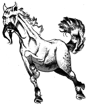 Burak | Sferopedia | Fandom