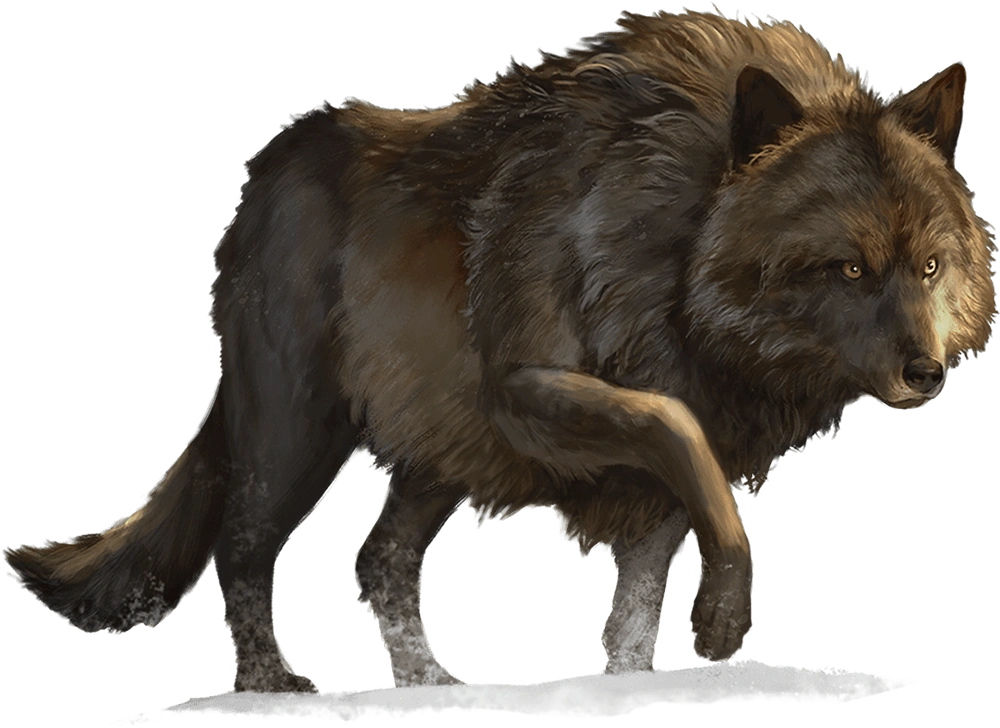 Złowieszczy wilk | Sferopedia | Fandom