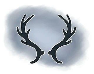 Balinor | Sferopedia | Fandom