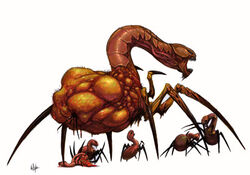 Neogi | Sferopedia | Fandom