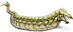 Kyton (wynaturzenie) | Sferopedia | Fandom