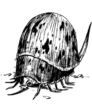 Skrit | Sferopedia | Fandom