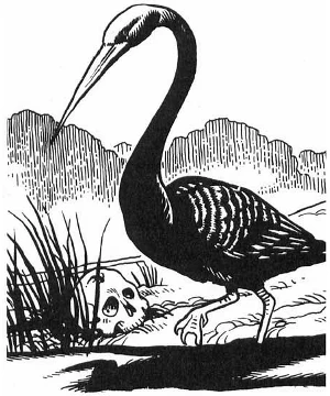 Boobrie | Sferopedia | Fandom