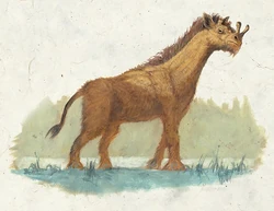 Branta | Sferopedia | Fandom