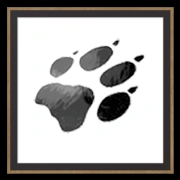 Wiosna | Sfora Wiki | Fandom