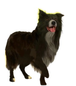 Miki | Sfora Wiki | Fandom