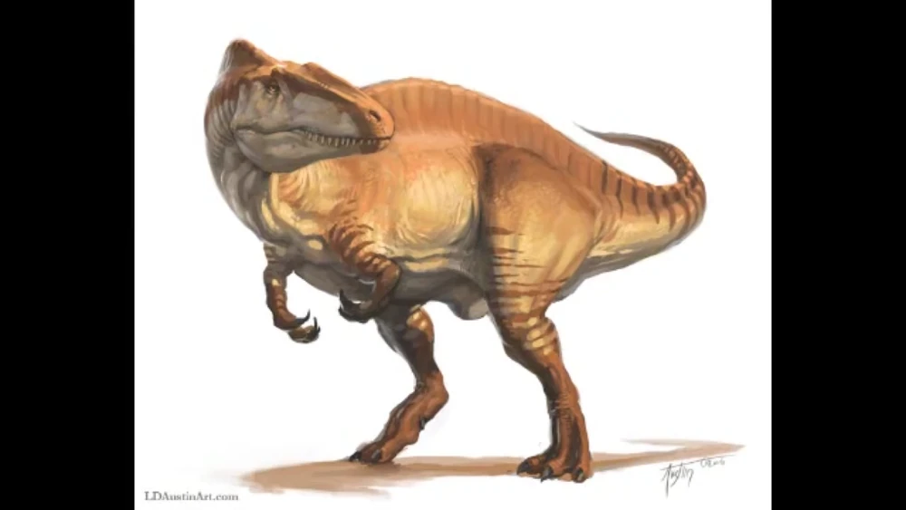 Valentino Bear (Attacking) | SFX Resource Wiki | Fandom