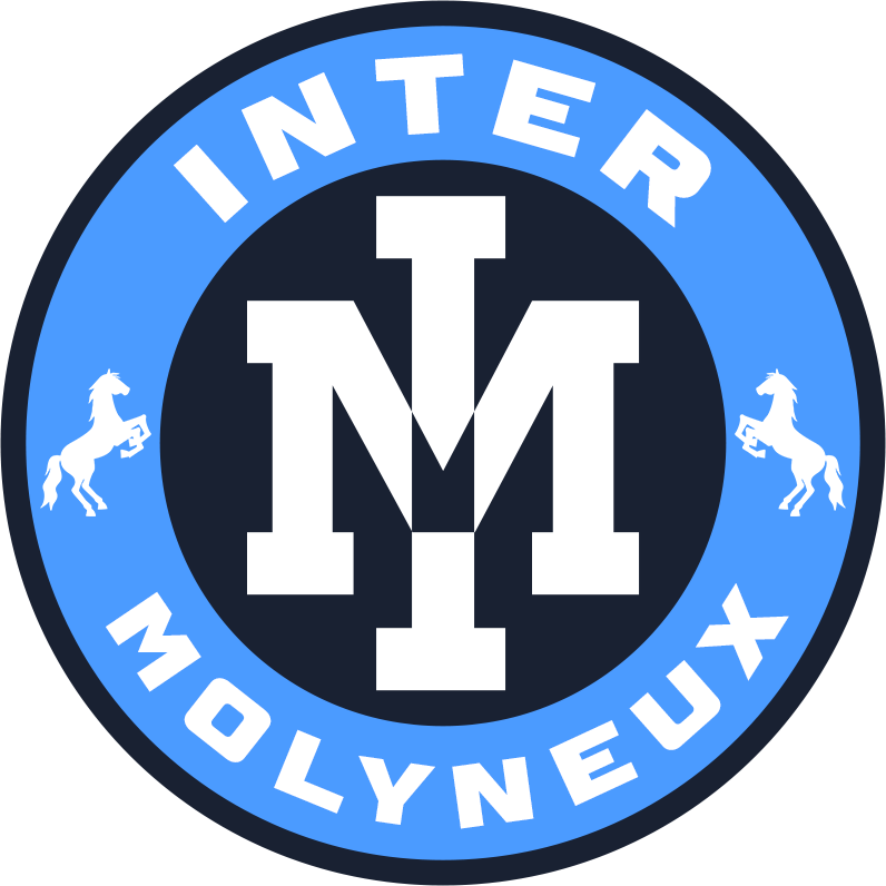 WFC Inter Molyneux | SGFA Football Wiki | Fandom