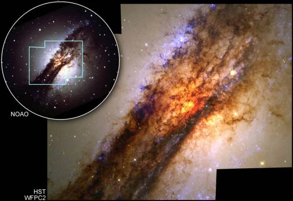 Syrex | Stargate: Return of the Ancients Wiki | Fandom