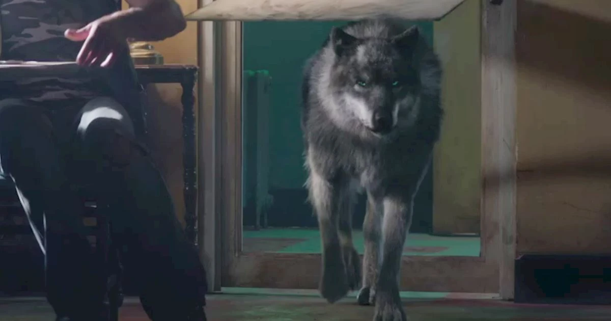 Werewolves | Sh2.0.fic Wiki | Fandom