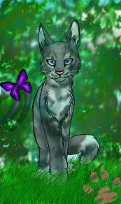 Jaypaw | Shadeflower Wiki | Fandom