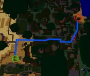 Forest | Shadovia RPG Wiki | Fandom